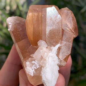 Stunning Golden Colour Transparent Twins Topaz Crystal on Matrix ...