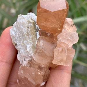 Stunning Golden Colour Transparent Topaz Crystal on Muscovite Specimen ...