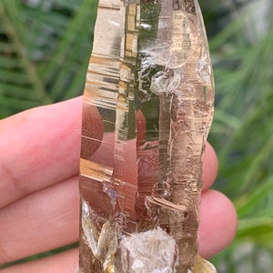 Natural Full Transparent Smokey Quartz Crystal on Muscovite - Etsy