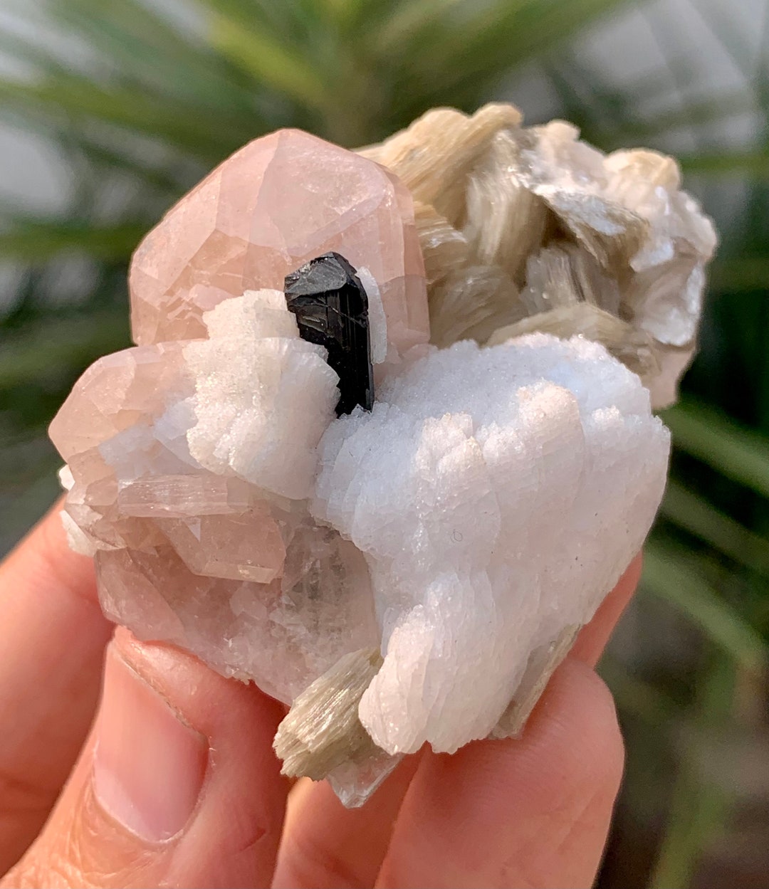 Natural Pink Colour Apatite Crystals With Tourmaline on Matrix ...