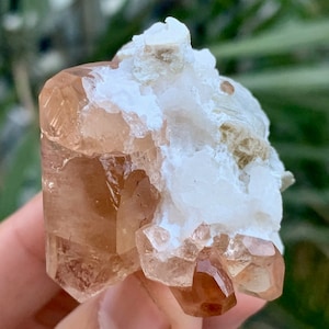 Stunning Golden Colour Transparent Twins Topaz Crystals on Matrix ...