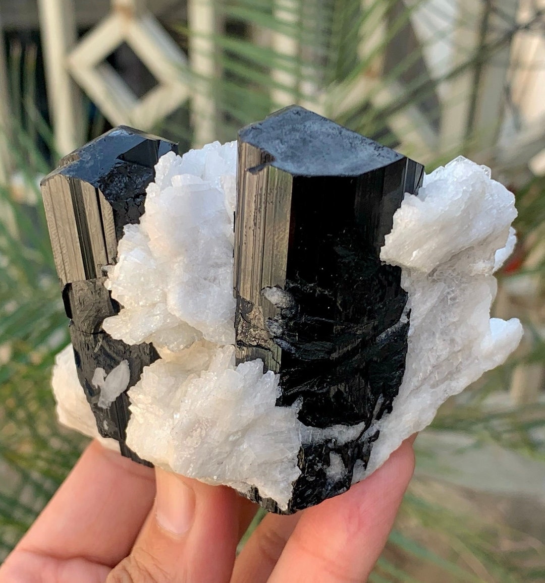 Natural Black Tourmaline Crystal With Cleavelandite Specimen From ...