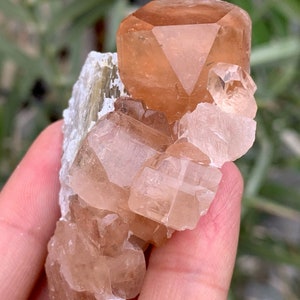Stunning Golden Colour Transparent Topaz Crystal on Muscovite Specimen ...