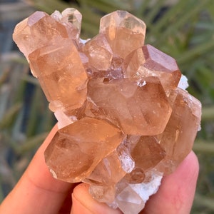 Stunning Golden Colour Transparent Twins Topaz Cluster Specimen From ...