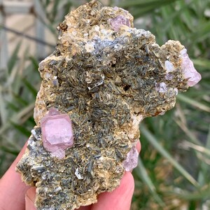 Natural Pink Colour Transparent Apatite Crystal on Muscovite - Etsy
