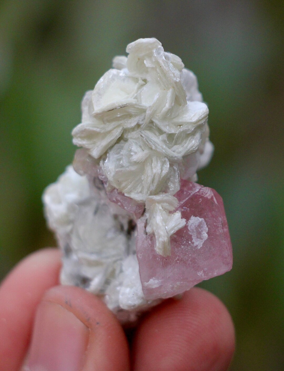 Natural Pink Apatite on Matrix Pink Apatite Specimen, Apatite Crystal ...
