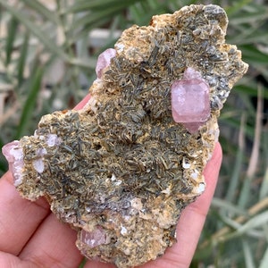 Natural Pink Colour Transparent Apatite Crystal on Muscovite - Etsy