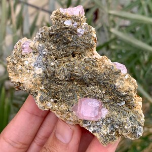 Natural Pink Colour Transparent Apatite Crystal on Muscovite - Etsy