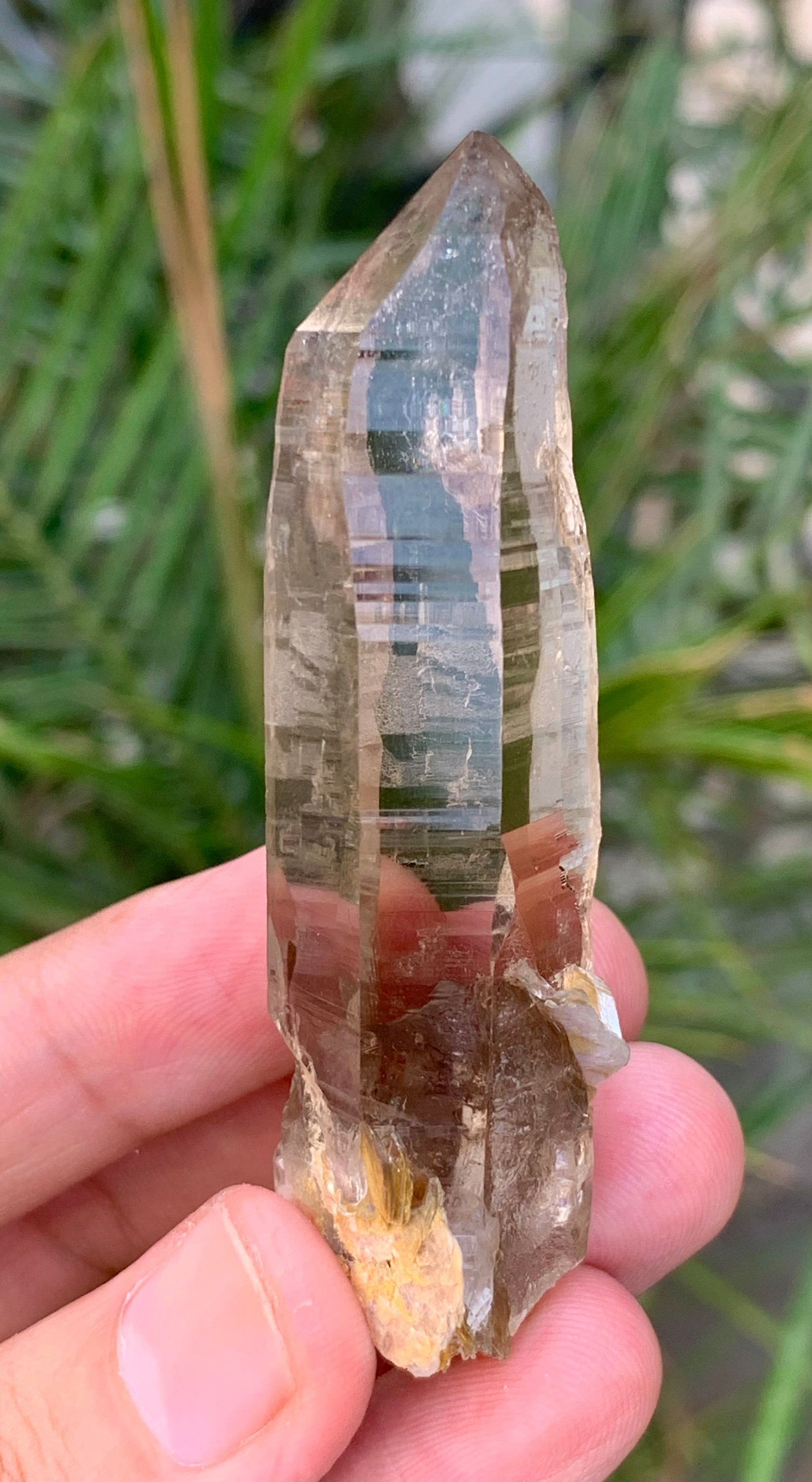 Natural Full Transparent Smokey Quartz Crystal on Muscovite - Etsy