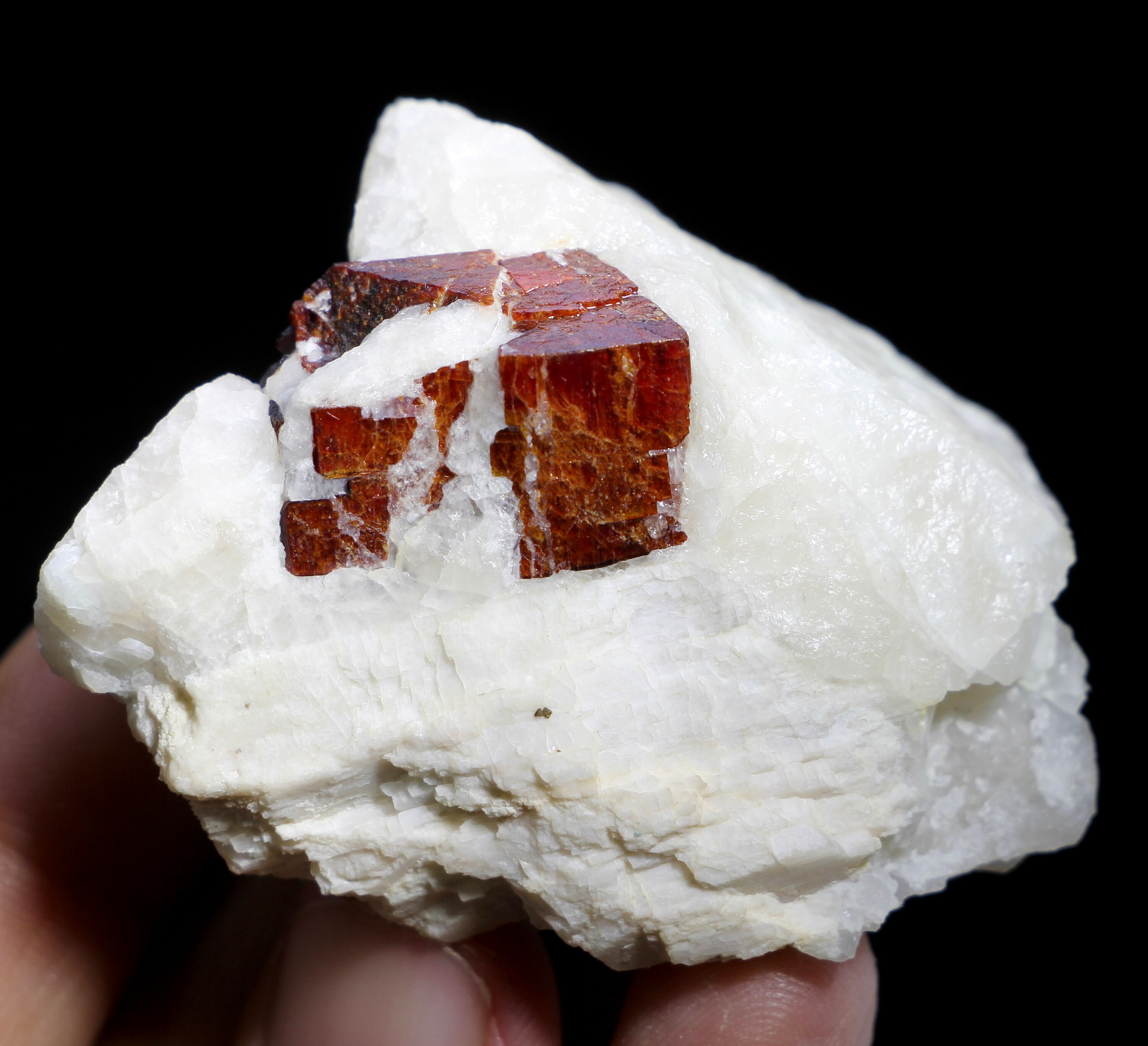 Rare Tantalie Specimen Rare Mangano Tantalite Crystal on - Etsy