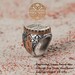 Surah Falak-nass Engraved Sterling Silver Ring, Islamic Surah Ayat ...