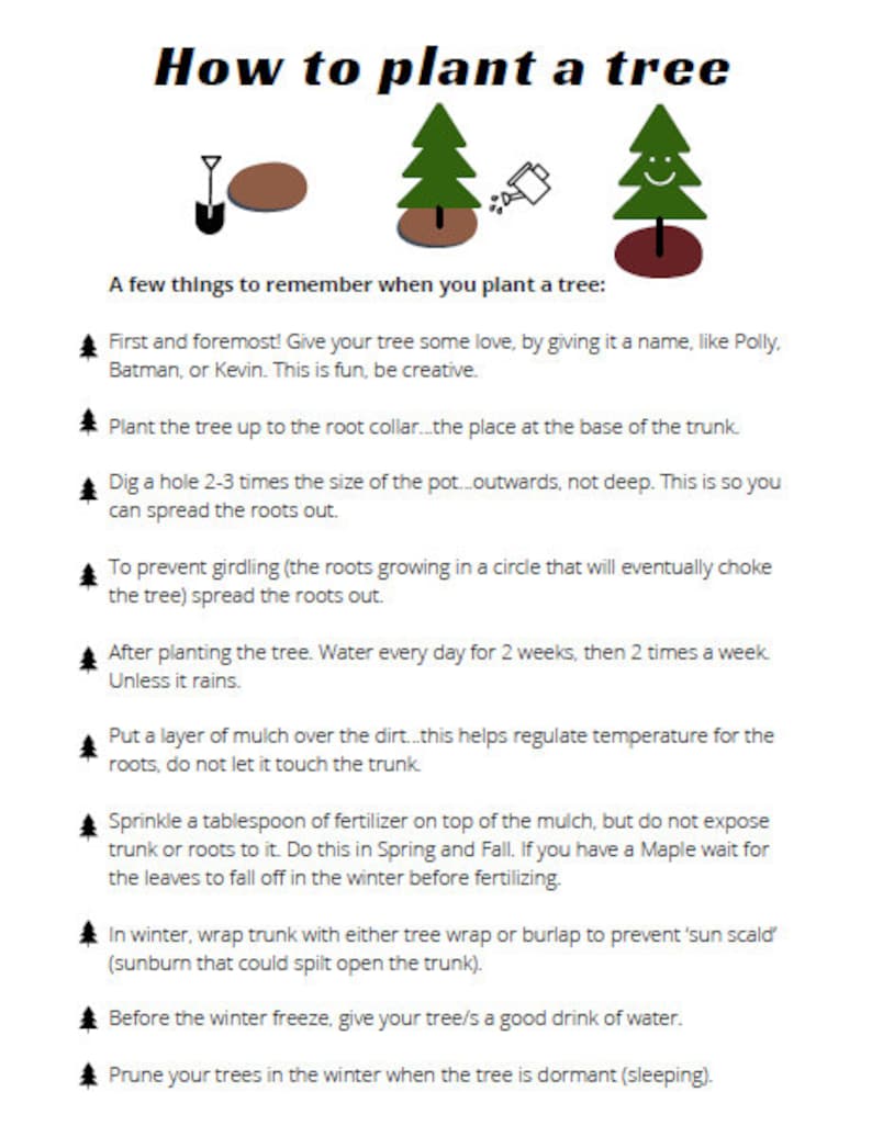 Tree Adoption Certificate for Kids: Earth & Arbor Day Activity ...
