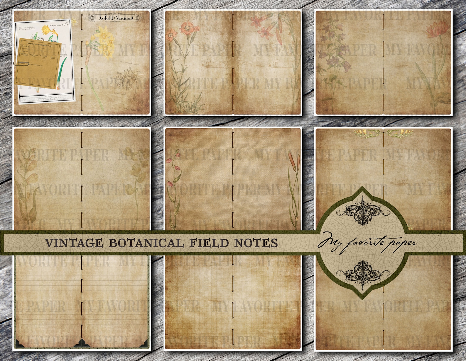 Vintage Botanical Field Notes Journal Kit - Etsy