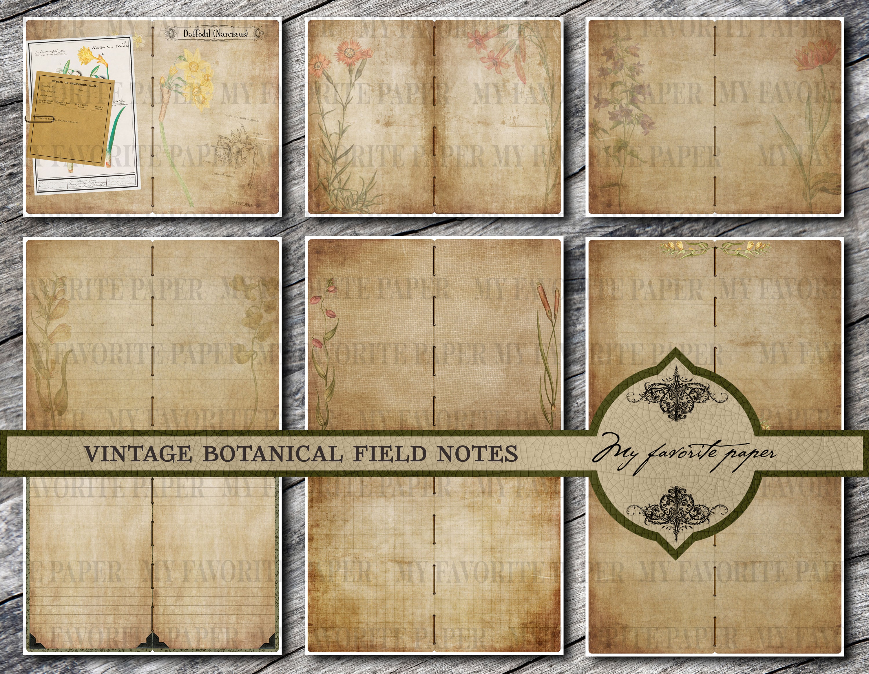 Vintage Botanical Field Notes Journal Kit - Etsy