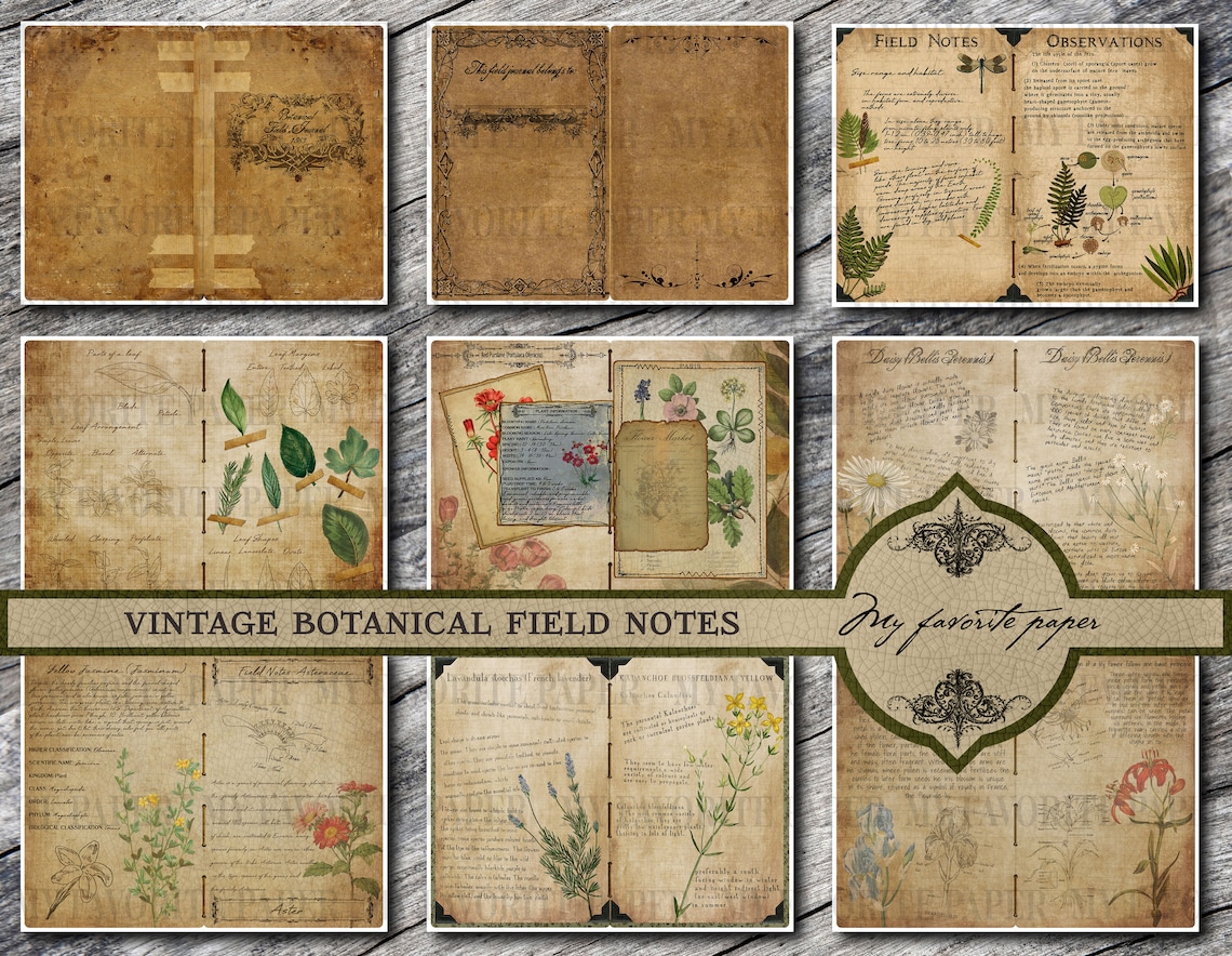 Vintage Botanical Field Notes Journal Kit - Etsy