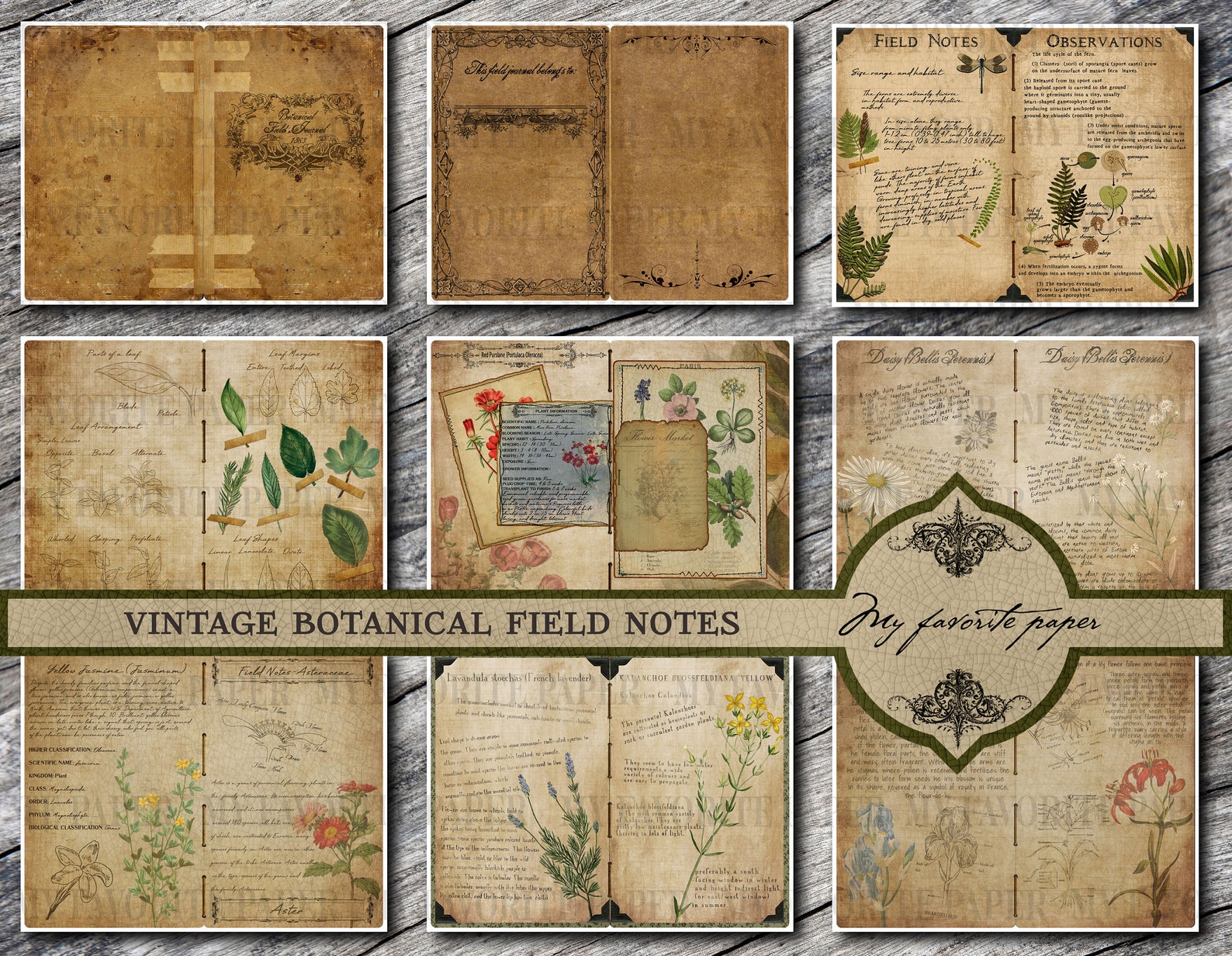 Vintage Botanical Field Notes Journal Kit - Etsy