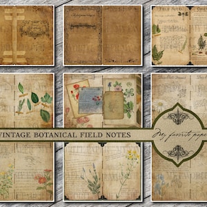 Vintage Botanical Field Notes Journal Kit - Etsy