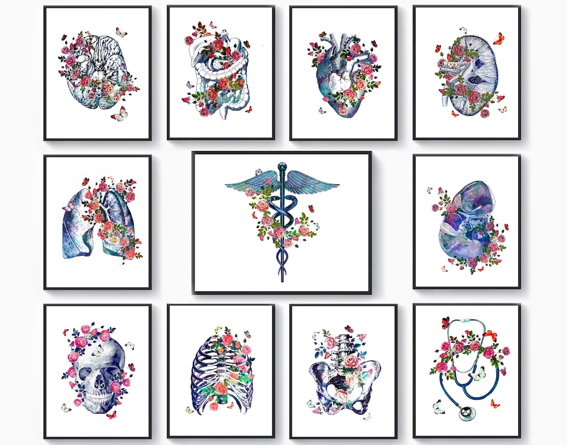 Set 11 Anatomy Art Medical Wall Decor Physiology Art Floral - Etsy