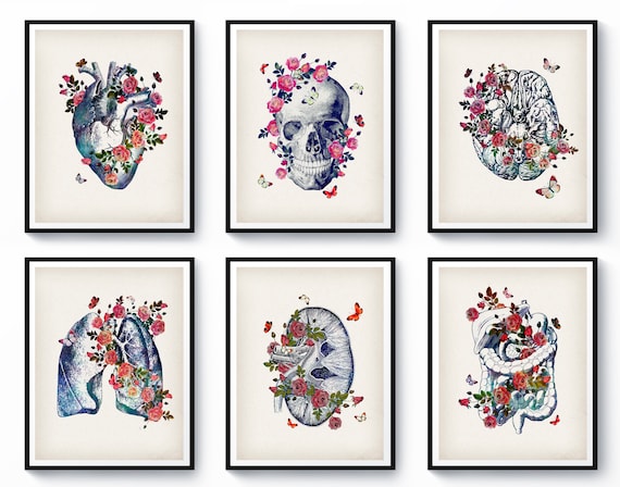 6 Anatomy Art Medical Gift Doctor Graduation Gift for Nurse | Etsy