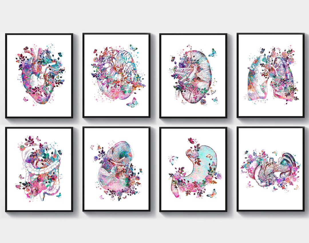 8 Anatomy Art, Floral Art, Watercolor Painting, Physiology Artwork ...
