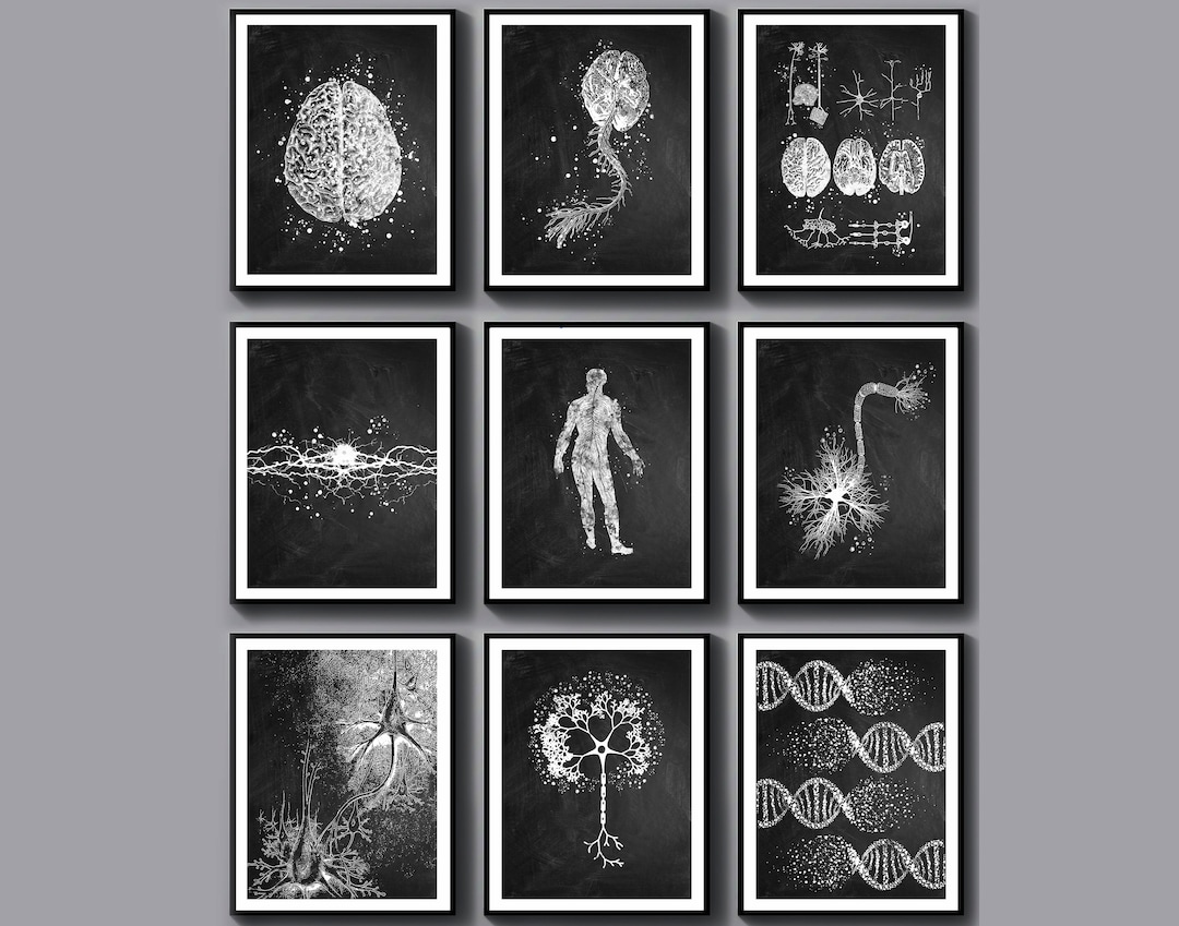 9 Neurology Drawings Medical Chalkboard Art Science Art Neurologist ...