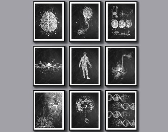 9 Neurology Drawings Medical Chalkboard Art Science Art | Etsy