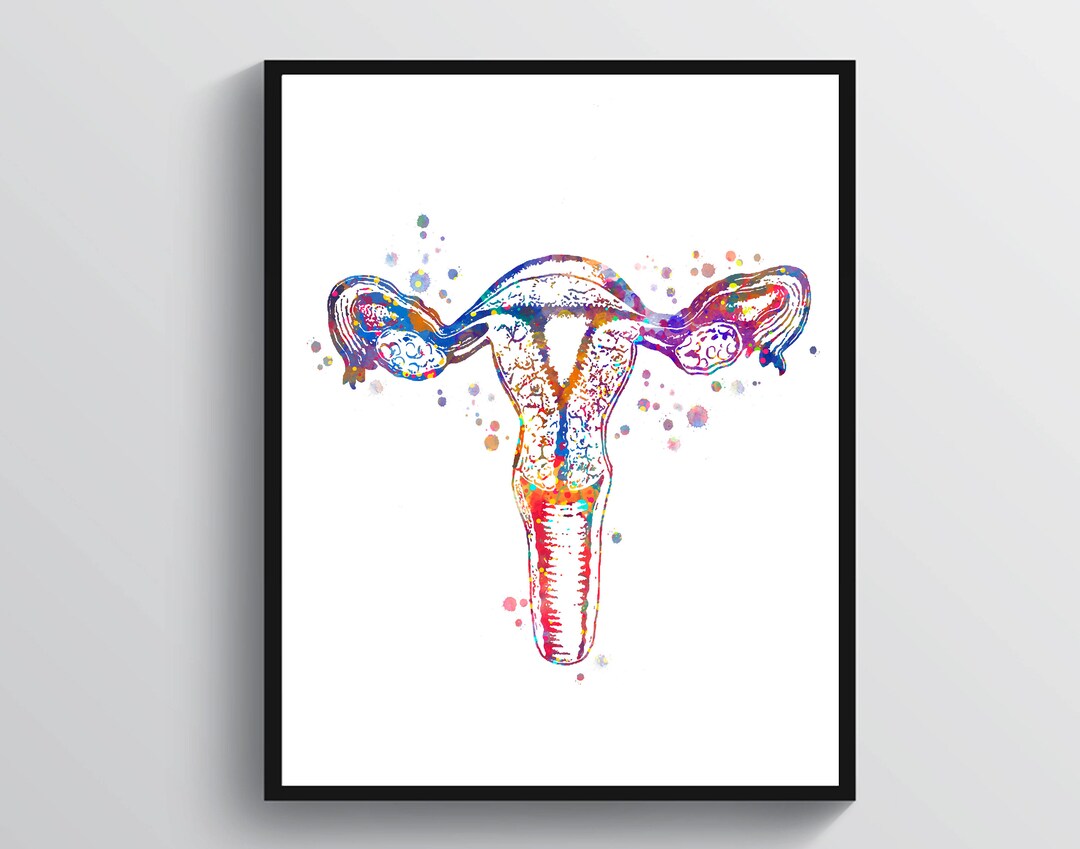 Watercolor Uterus Anatomy Art Reproductive System Poster Medical Art ...