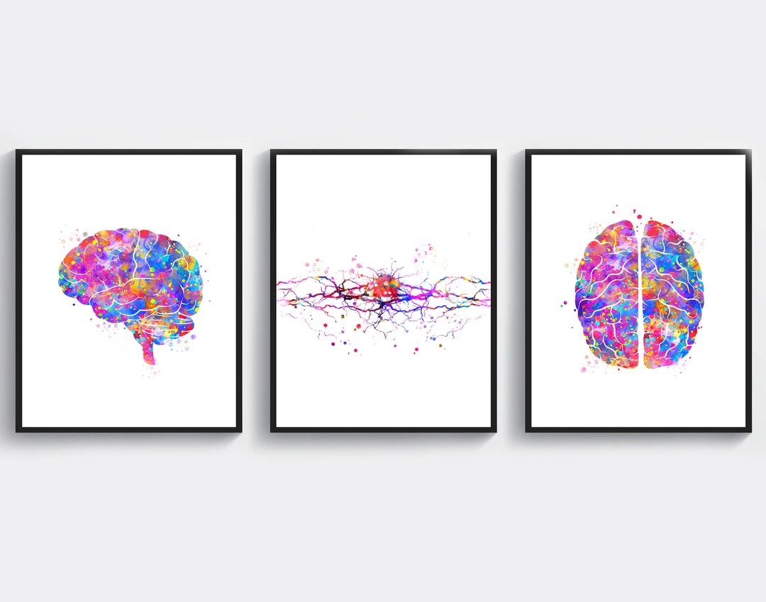 3 Anatomy Art Neurology Art Anatomical Brain Print Neuron Cell Poster ...