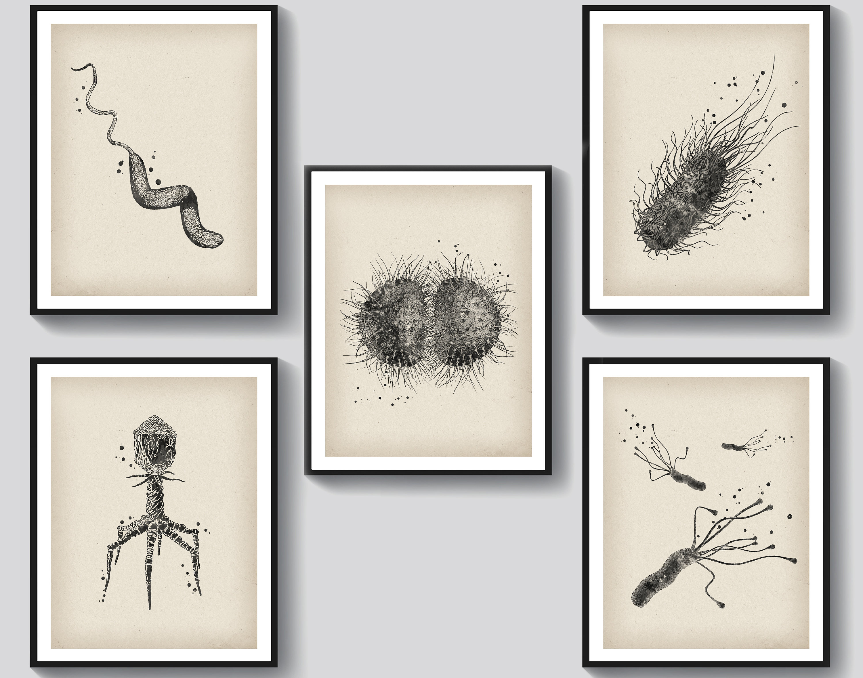 5 Microbiología Bacterias Art Posters Ciencia Arte Biólogo - Etsy México