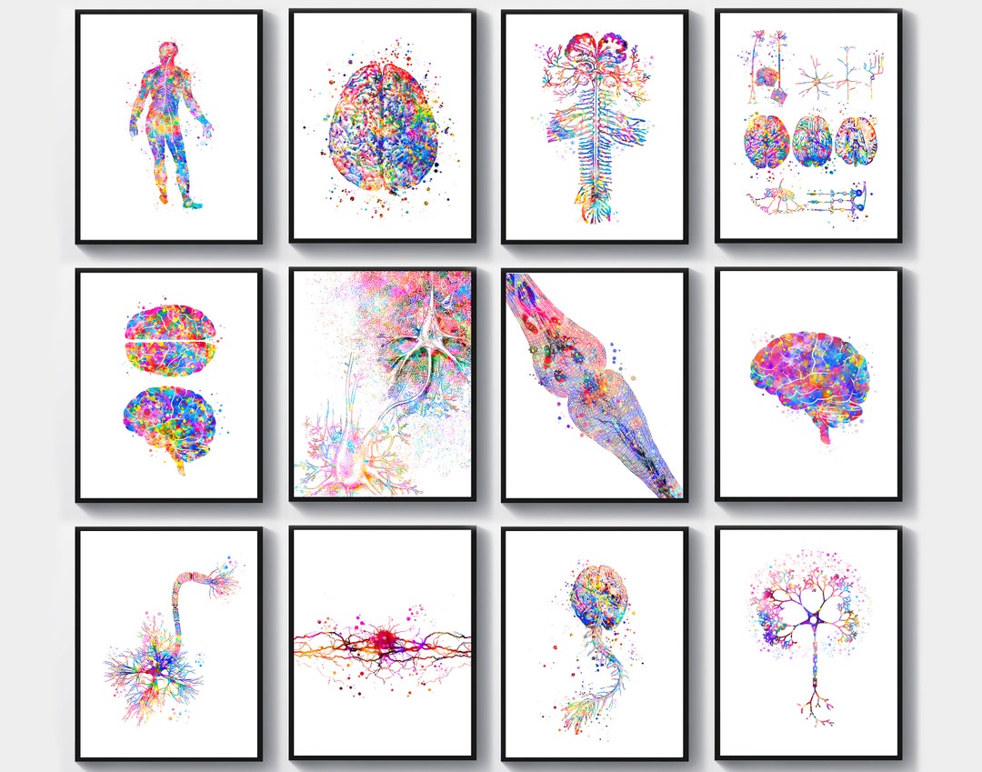 12 Neuroscience Art Posters Neurological Art Cognitive Biology Art ...