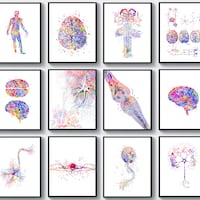 Neuroscience - Etsy