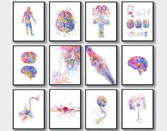 12 Neuroscience Art Posters Neurological Art Cognitive Biology - Etsy