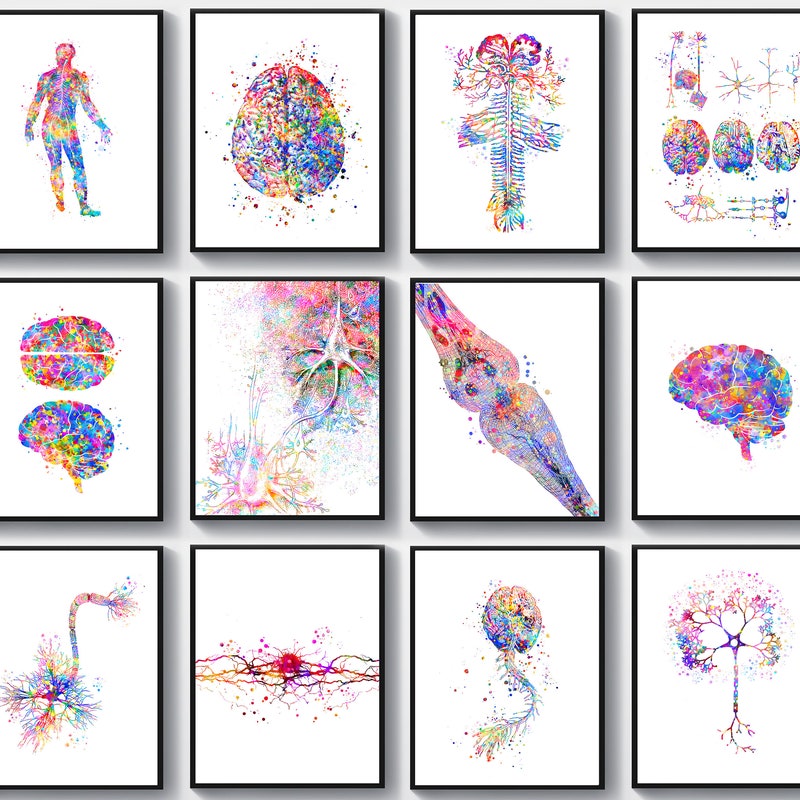Neuroscience Poster Art - Etsy
