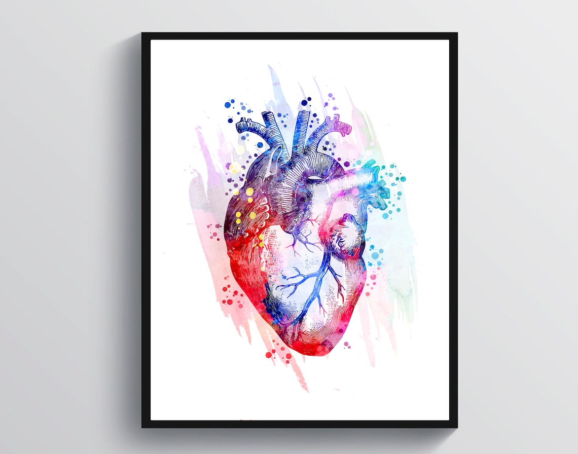 Anatomical Heart Art Watercolor Anatomy Artwork Cardiologist - Etsy