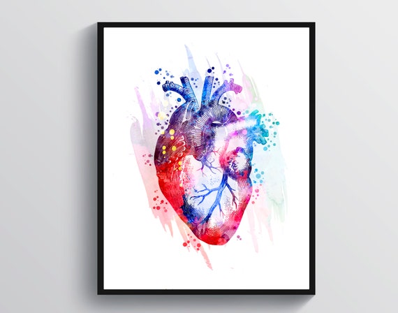 Anatomisch Correcte Hartkunst Nieuw Type Kunsthart | NTVG