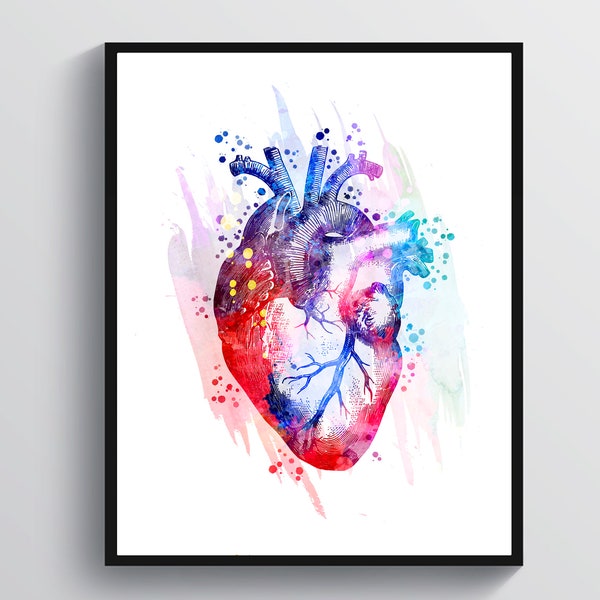 Anatomical Heart Art - Etsy