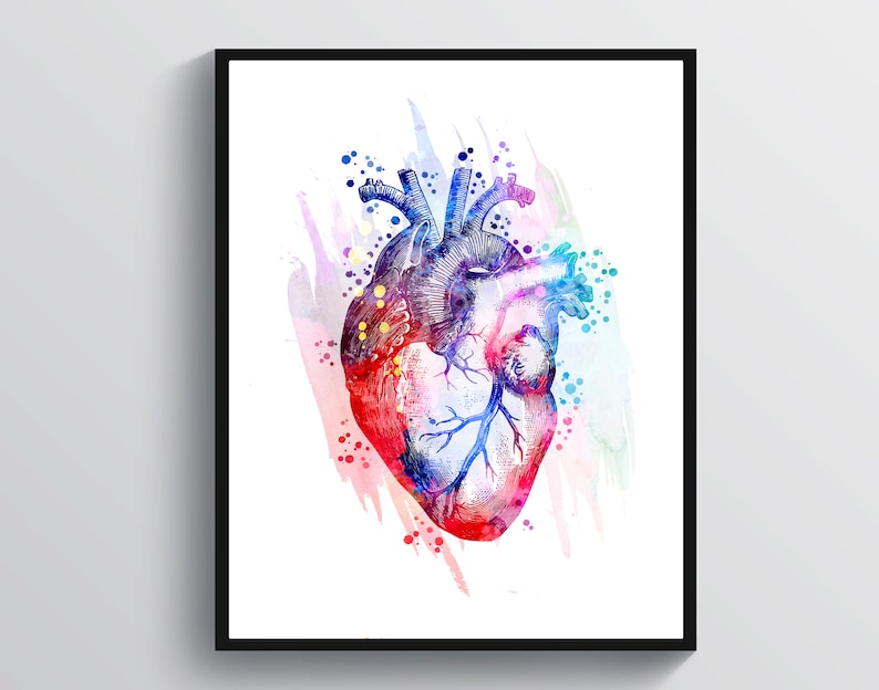 Anatomical Heart Art Watercolor Anatomy Artwork Cardiologist | Etsy