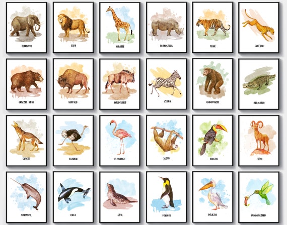 Imágenes De Animales Salvajes Con Nombres Bolígrafo Dibujo A Mano