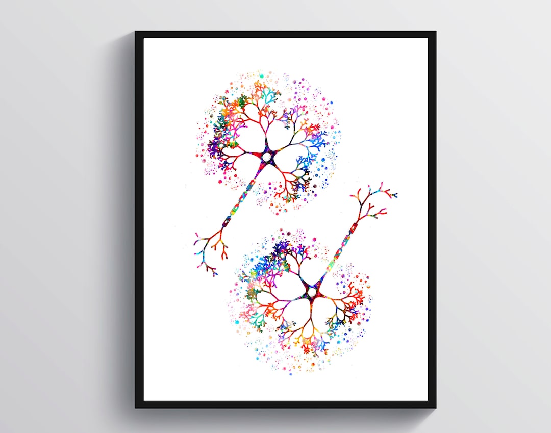Watercolor Nerve Cells Art Neuron Art Anatomy Art Brain Cell Art ...
