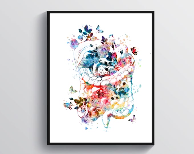 Digestive System Anatomy Print, Anatomical Poster, Digestive Tract ...