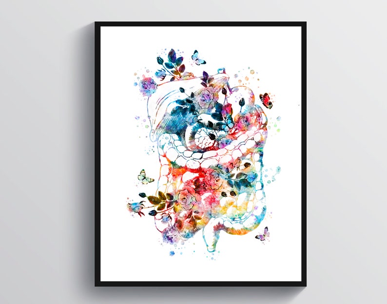 Watercolor Intestines Artwork Anatomy Art Gastroenterologist - Etsy