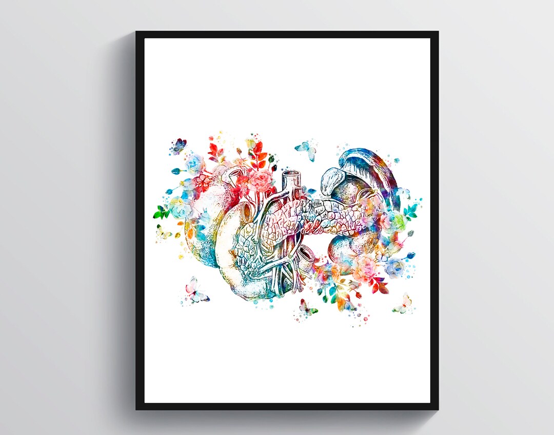 Floral Pancreas Art Digestive System Art Endocrine System Art Medical ...