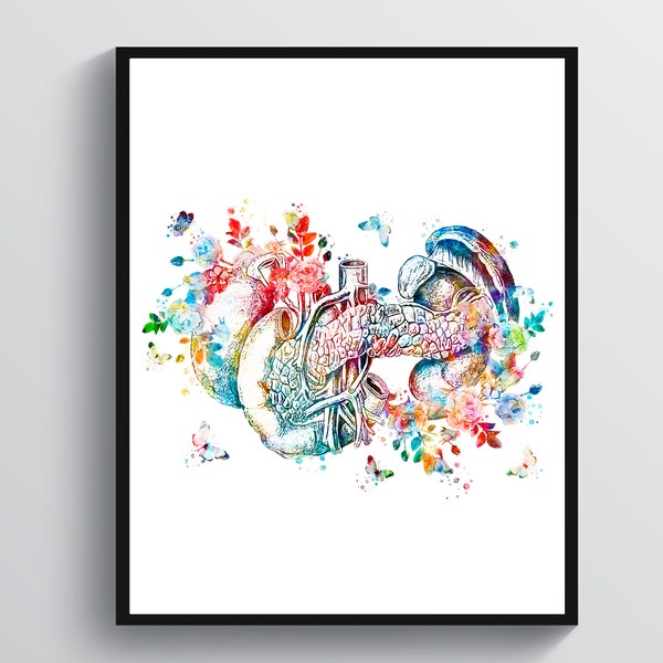 Endocrine System - Etsy