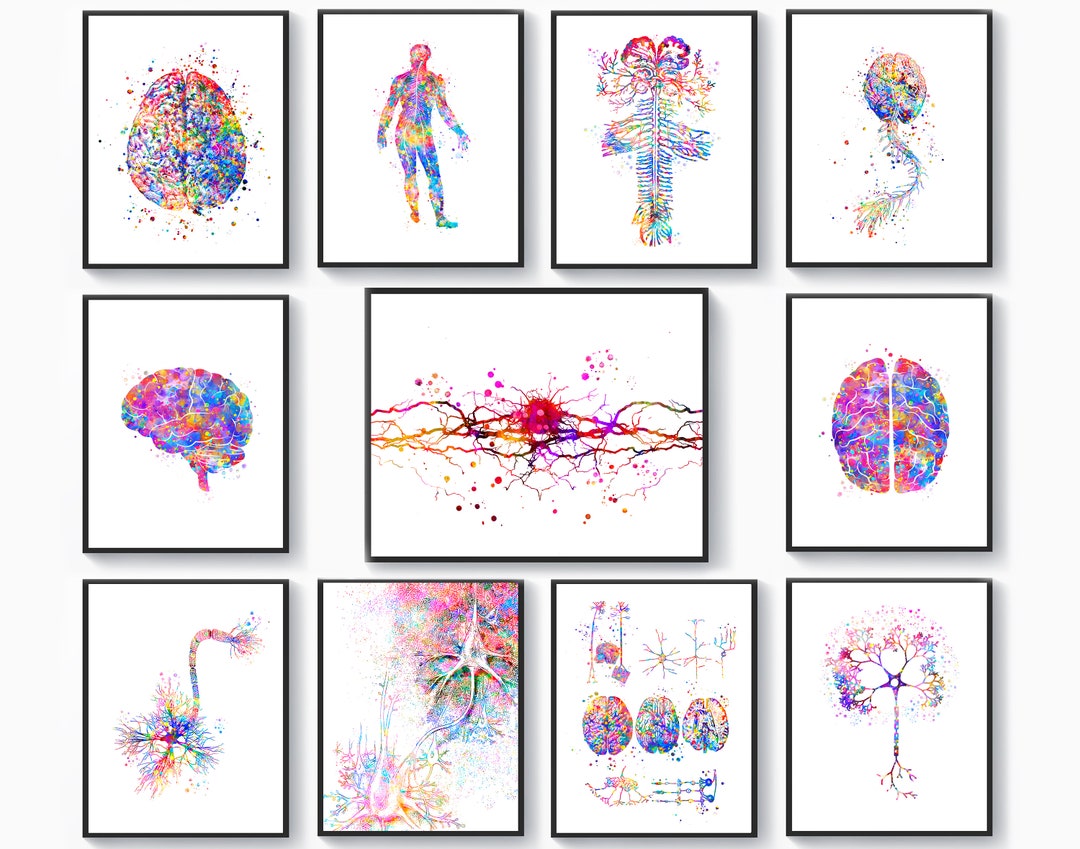 11 Neurogenetics Art, Neurology Drawing, Brain Anatomy Artwork, Neural ...