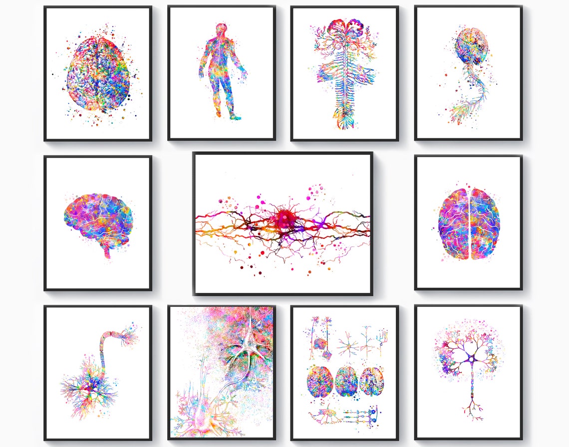 11 Neurogenetics Art Neurology Drawing Brain Anatomy - Etsy