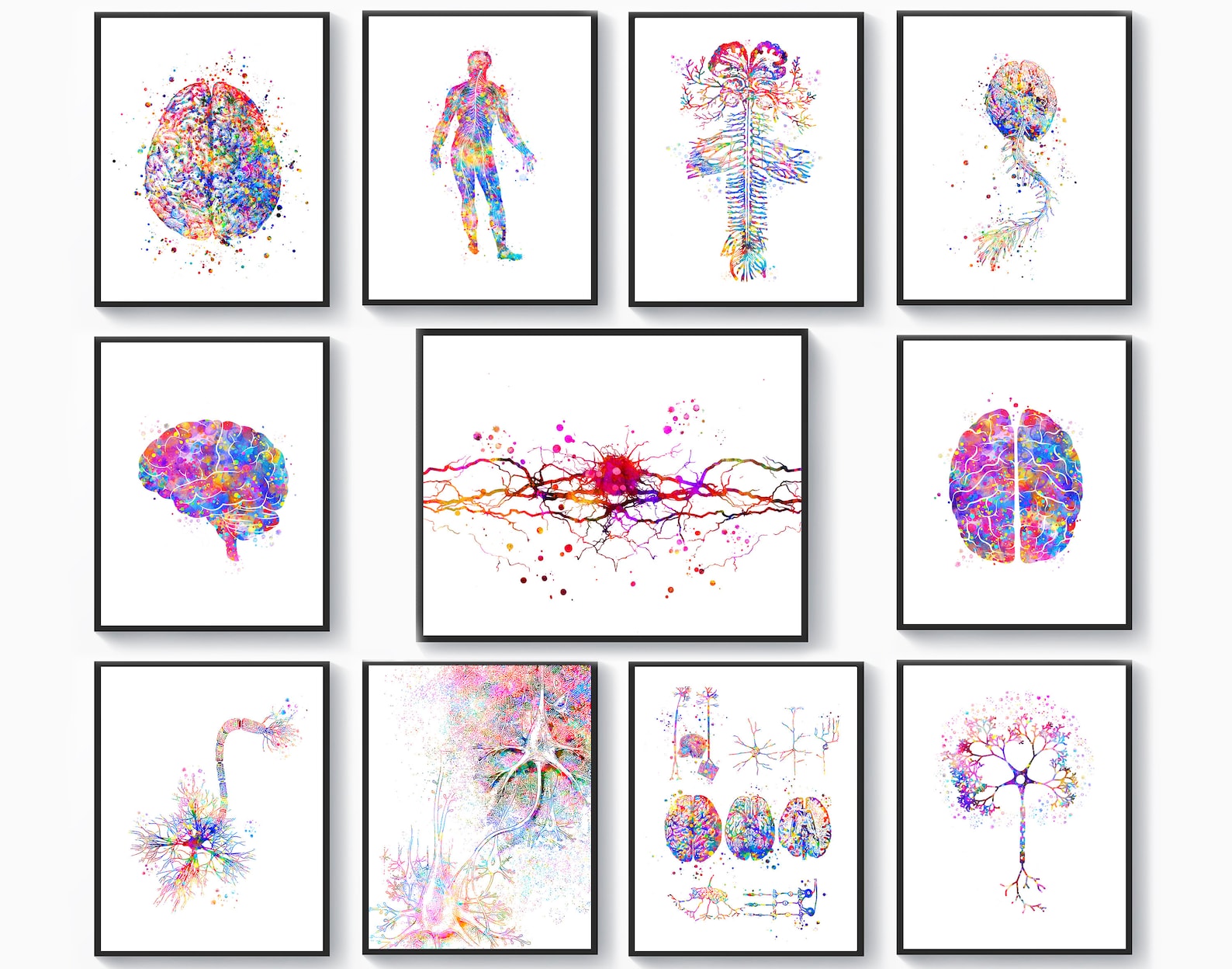11 Neurogenetics Art, Neurology Drawing, Brain Anatomy Artwork, Neural ...