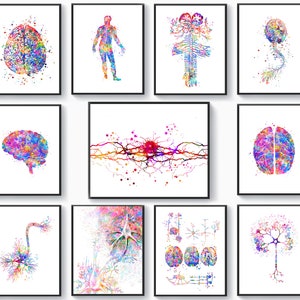 11 Neurogenetics Art Neurology Drawing Brain Anatomy - Etsy