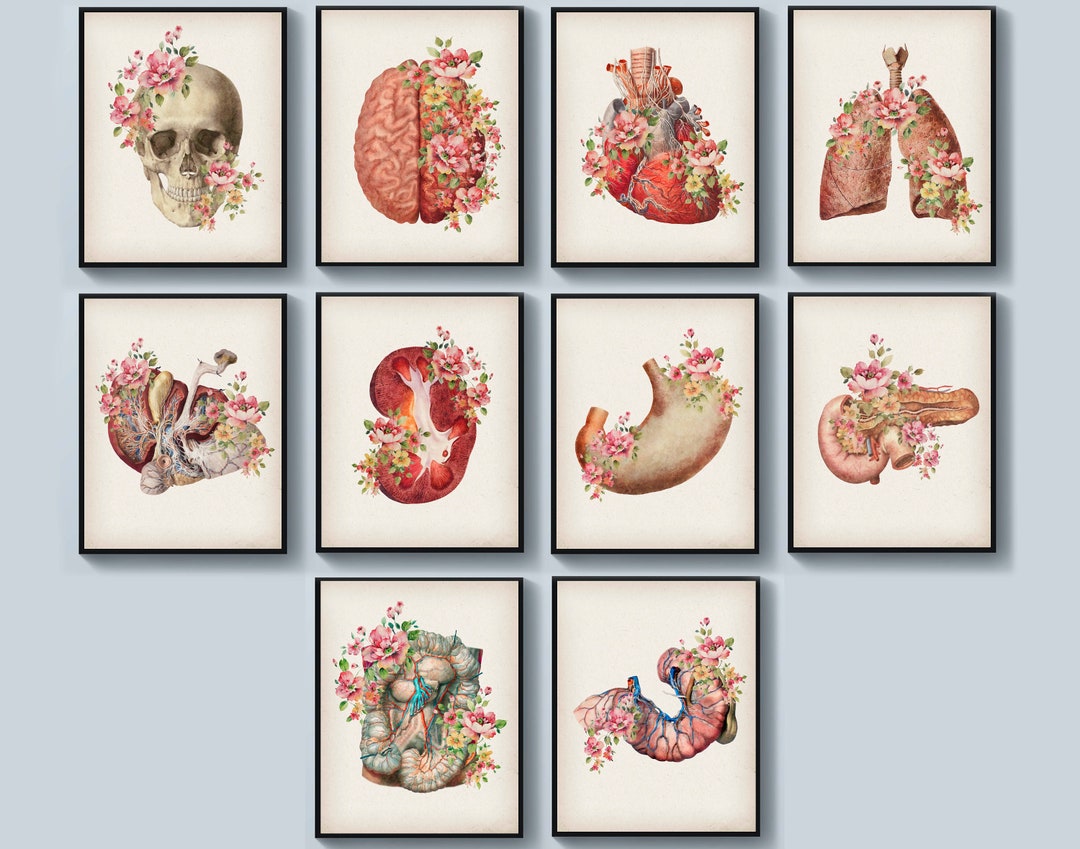 10 Vintage Anatomy Art Medical Art Doctor Practice Gift - Etsy