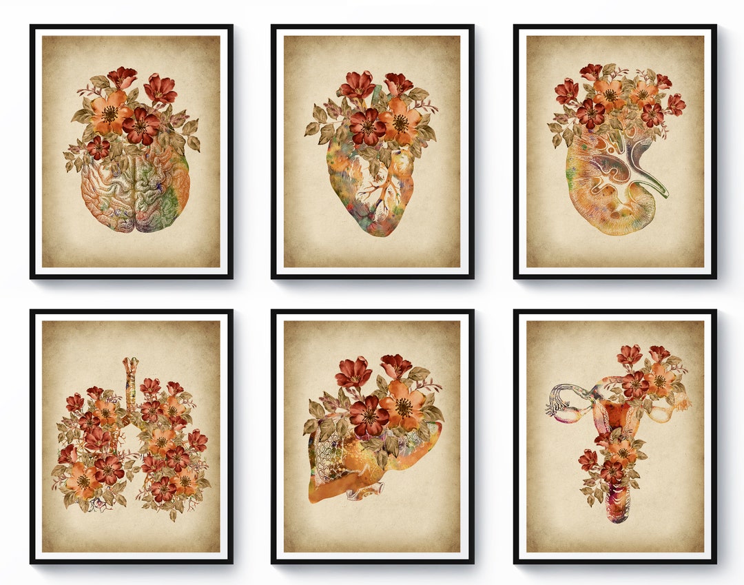 6 Antique Anatomical Drawings, Vintage Medical Art, Floral ...