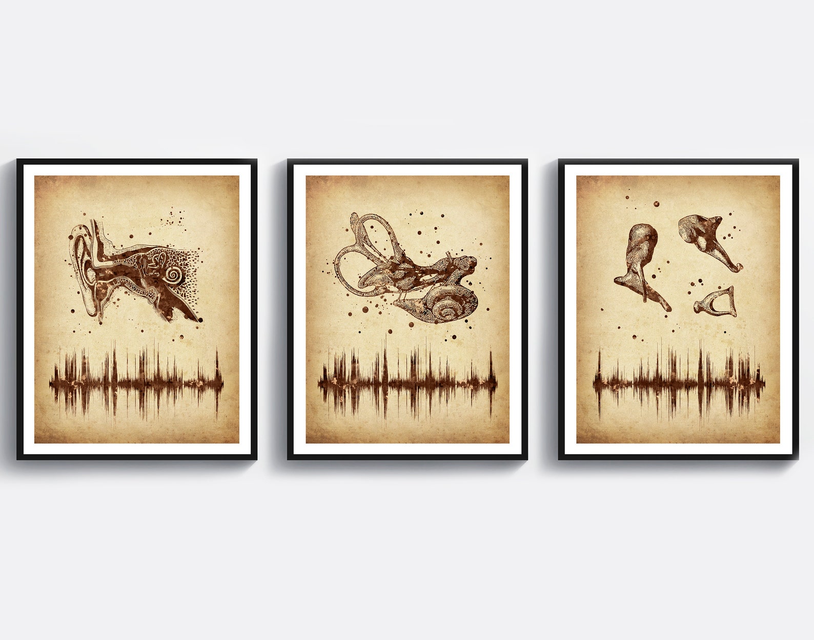3 Vintage Auditory Organs Art Hearing System Poster Ear - Etsy